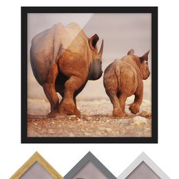 Tierbild mit Rahmen Wandering Rhinos