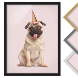 Bilderwelten Bild mit Rahmen K&uuml;che Mops mit Eiswaffel Poster FineArt Wandbilder Kunstdruck 4 Rahmen-Farben