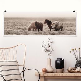 Bilderwelten Poster Tiere braun Motiv matt gl&auml;nzend selbstklebend - Island Wildpferde - Pferde Wohnzimmer Schlafzimmer