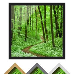 Wald Bild mit Rahmen Romantischer Waldweg