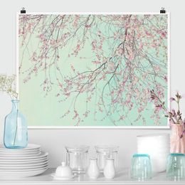 Bilderwelten Poster Blumen t&uuml;rkis Motiv matt gl&auml;nzend selbstklebend - Kirschbl&uuml;tensehnsucht - Kirschbl&uuml;te Wohnzimmer Schlafzimmer