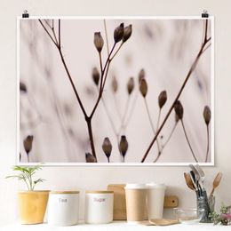 Bilderwelten Poster Blumen beige Landhaus matt gl&auml;nzend selbstklebend - Dunkle Knospen am Wildblumenzweig - Gr&auml;ser Wohnzimmer Schlafzimmer