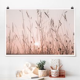Bilderwelten Poster Blumen beige Landhaus matt gl&auml;nzend selbstklebend - Ein traumhafter Sommerabend - Gr&auml;ser Wohnzimmer Schlafzimmer
