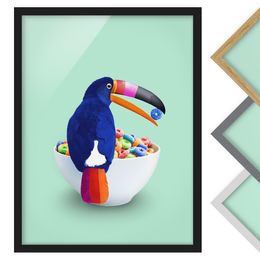 Bilderwelten Bild mit Rahmen K&uuml;che Fr&uuml;hst&uuml;ck mit Tukan Poster FineArt Wandbilder Kunstdruck 4 Rahmen-Farben