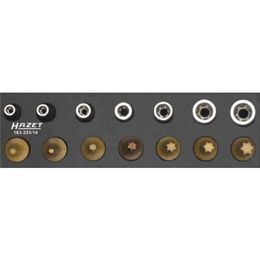 Hazet Steckschlüssel-Bit-Einsatz-Set 1/4 (6.3 mm) 14teilig 163-251/14