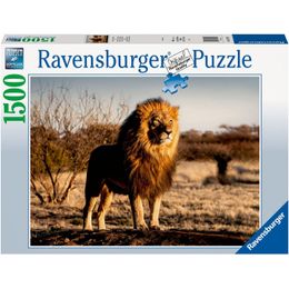 Ravensburger Puzzle Der Löwe - Der König der Tiere, 1500 Puzzleteile, Made in Germany, FSC® - schützt Wald - weltweit, bunt