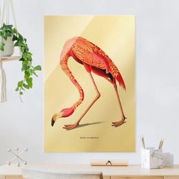 Bilderwelten Glasbild Tiere Vintage pink Glas Wandbild - Boho Vogel - Flamingo - Lustig Wohnzimmer Schlafzimmer