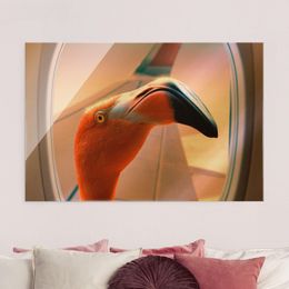 Bilderwelten Glasbild Tiere Digital Art orange Glas Wandbild - Sitzplatz am Fenster - Flugzeug & Hubschrauber Wohnzimmer Schlafzimmer