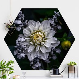 Bilderwelten Hexagon Tapete Blumen Motiv Wandtapete schwarz - Wei&szlig;e Dahlie - Deko Wohnzimmer Schlafzimmer