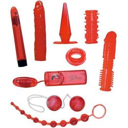 You2Toys 9-teiliges Toyset „Red Roses“ inklusive Batterien für die Vibro-Toys