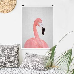Bilderwelten Poster Flamingo Fabian