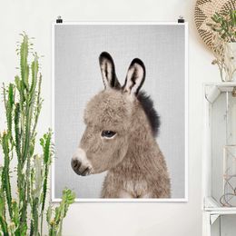 Bilderwelten Poster Esel Ernesto