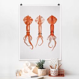 Bilderwelten Poster Strand rot Illustration matt gl&auml;nzend selbstklebend - Vintage Illustration Rote Tintenfische - Unterwasser Wohnzimmer Schlafzimmer