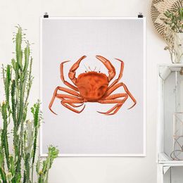 Poster Vintage Illustration Rote Krabbe