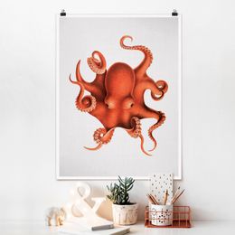 Bilderwelten Poster Vintage Illustration Roter Oktopus