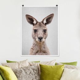 Bilderwelten Poster Känguru Knut