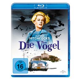 Universal Die Vögel (Blu-ray)
