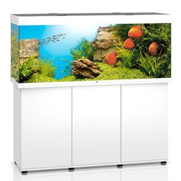 JUWEL Rio 450 LED Komplett Aquarium mit Unterschrank SBX weiß