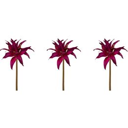 Winterliche Kunstpflanze Weihnachtsdeko Amaryllis, Creativ green, Höhe 52 cm, tolle Kombi: purple mit goldfarben, 3er-Set, lila
