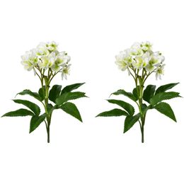 Winterliche Kunstpflanze Weihnachtsdeko Christrose, Creativ green, Höhe 60 cm, üppiges Blüten- und Blattwerk, 2er-Set, weiß