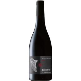 H. Lentsch 2020 Teroldego Vigneti delle Dolomiti IGP trocken