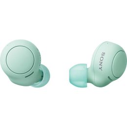 Sony WF-C500 Earbuds, Ladeetui, In-ear Kopfhörer Bluetooth Grün