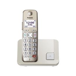 Panasonic KX-TGE250GN Schnurloses Telefon