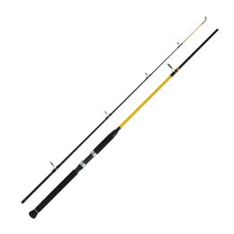 WFT Never Crack Big Fish 2,40m 150-700g Norwegen Rute