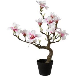 Kunstpflanze Magnolienbaum, Creativ green, Höhe 71 cm, im Kunststofftopf, rosa