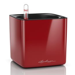 Lechuza® Kräutertopf Pflanztopf Cube Glossy 14 scarlet rot highgloss