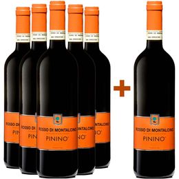 Pinino 2019 5+1 Paket Rosso di Montalcino DOC