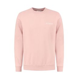 Shiwi Sweatshirt female Pink size XXL