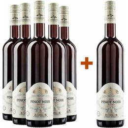 Zöhrer 2021 5+1 Paket Privat Selection Pinot Noir trocken