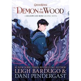 Demon in the Wood Graphic Novel - Leigh Bardugo, Gebunden
