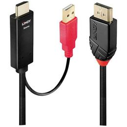 Lindy Anschlusskabel DisplayPort Stecker, HDMI-A Stecker, USB-A Stecker 0.50 m Schwarz 41424 DisplayPort-Kabel