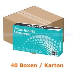 WEPA liquify 2-lagig hochweiß 100er Karton Kosmetiktücher 40 Boxen, zersetzt sich bei längerem Kontakt mit Wasser