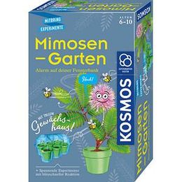 Kosmos Experimentierkasten Mimosen-Garten mehrfarbig