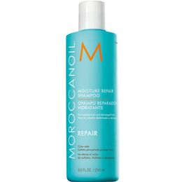 Moroccanoil Regenerierendes Shampoo 250ml