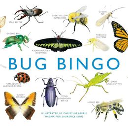 Bug Bingo