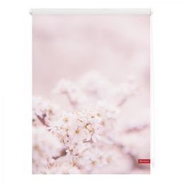 LICHTBLICK Rollo Klemmfix, ohne Bohren, blickdicht, Kirschblüten - Rosa Weiß, 120 cm x 150 cm (B x L