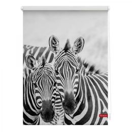 LICHTBLICK Rollo Klemmfix, ohne Bohren, blickdicht, Zebra - Weiß Türkis, 90 cm x 150 cm (B x L)