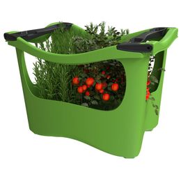 Windhager U-greeny Pflanzbox grün