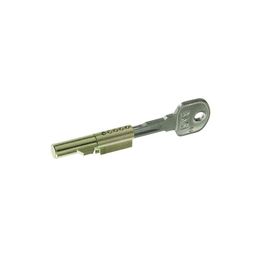 BASI Schlüssellochsperrer - SS 12 - Gleichschließend - 2 Schlüssel