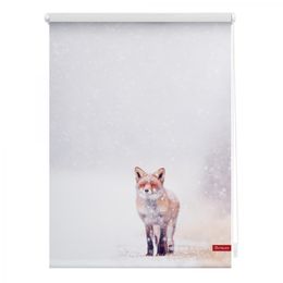 LICHTBLICK Rollo Klemmfix, ohne Bohren, blickdicht, Fuchs im Schnee - Weiß Rot, 120 cm x 150 cm (B x
