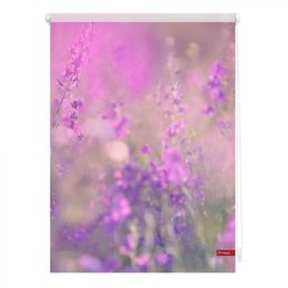 LICHTBLICK Rollo Klemmfix, ohne Bohren, blickdicht, Blumenwiese - Fuchsia Violett, 90 x 150 cm (B x