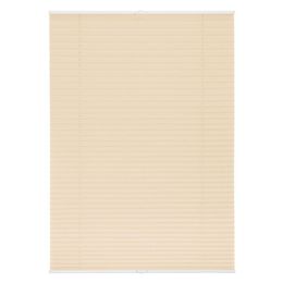 LICHTBLICK Plissee Klemmfix, ohne Bohren, verspannt - Creme, 85 cm x 130 cm (B x L)