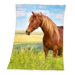 Herding Pferd Fleece-Decke, Größe: 160 x 130 cm
