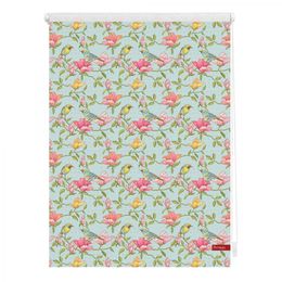 LICHTBLICK Rollo Klemmfix, ohne Bohren, blickdicht, Birds - Grün Pink, 80 x 150 cm (B x L)