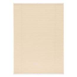 LICHTBLICK Plissee Klemmfix, ohne Bohren, verspannt - Creme, 60 cm x 210 cm (B x L)