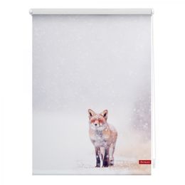 LICHTBLICK Rollo Klemmfix, ohne Bohren, blickdicht, Fuchs im Schnee - Weiß Rot, 100 cm x 150 cm (B x